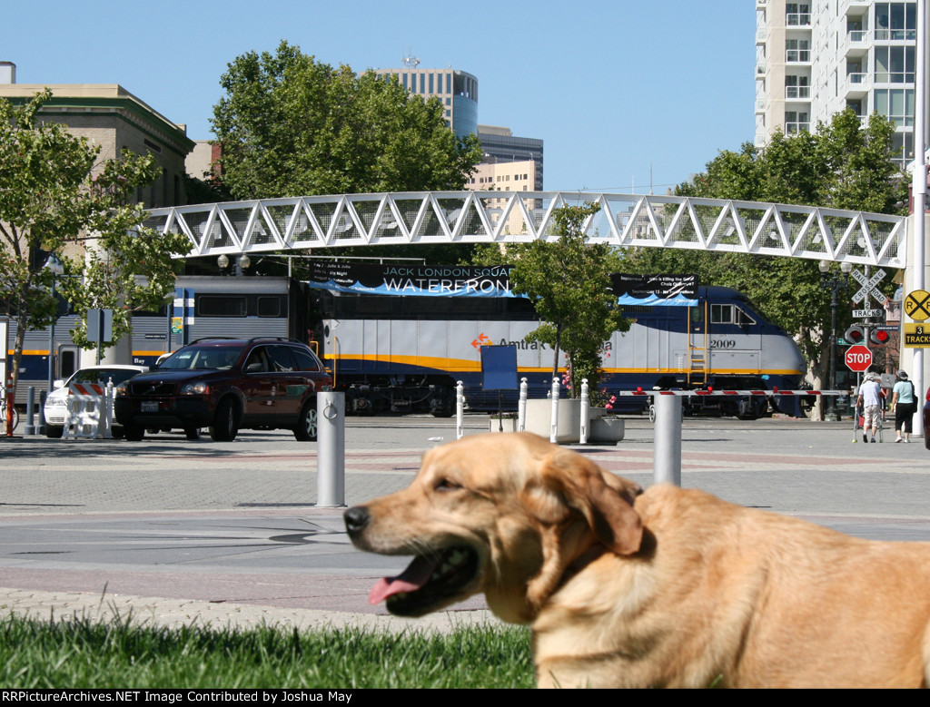 CDTX 2009 With Trixie